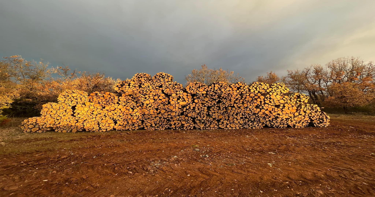 DREBES-Bois de chauffage